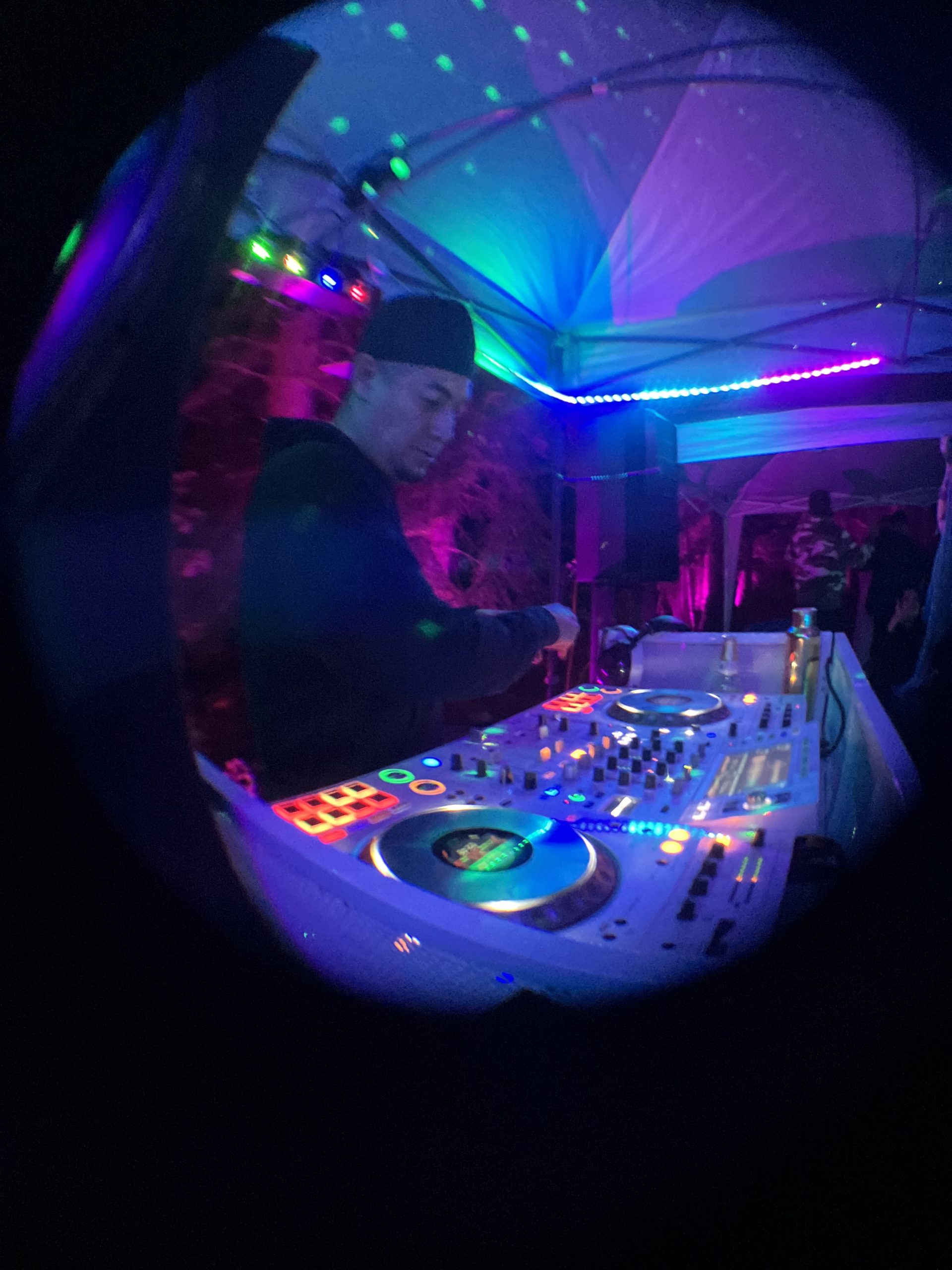 Forest Raves – Raves…in the forest 🌲